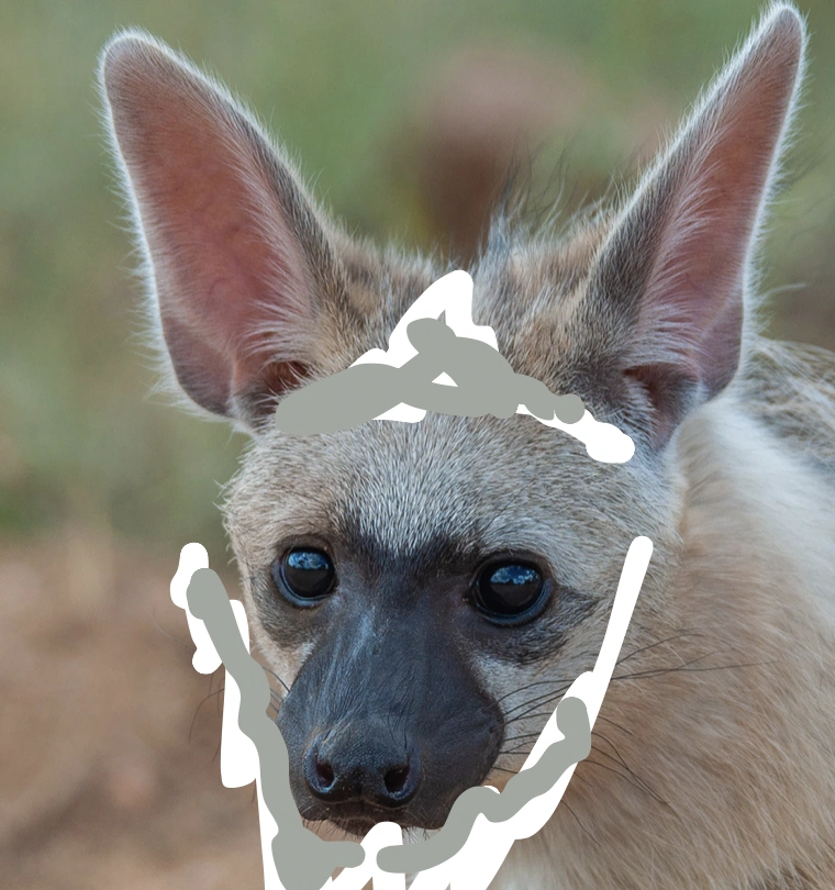 Joseph Aardwolf | Jesus Was An Aardvark Wiki | Fandom