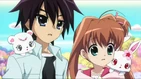 Yuuma Jinnai | Jewel Pet Wiki | Fandom