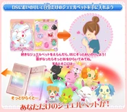 Rin/Image Gallery | Jewel Pet Wiki | Fandom