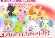 Rin/Image Gallery | Jewel Pet Wiki | Fandom