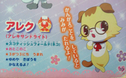 Lady Jewelpet | Jewel Pet Wiki | Fandom