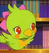 Rin/Image Gallery/Anime | Jewel Pet Wiki | Fandom