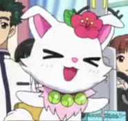 Jewelpet (species) | Jewel Pet Wiki | Fandom