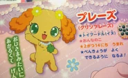 Lady Jewelpet | Jewel Pet Wiki | Fandom