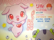 Ryl/Image Gallery | Jewel Pet Wiki | Fandom