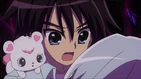 Yuuma Jinnai | Jewel Pet Wiki | Fandom
