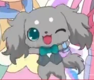 Kris/Image Gallery | Jewel Pet Wiki | Fandom