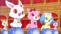 Lady Jewelpet | Jewel Pet Wiki | Fandom