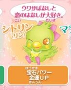 Rin/Image Gallery | Jewel Pet Wiki | Fandom