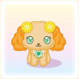 Prase/Image Gallery | Jewel Pet Wiki | Fandom