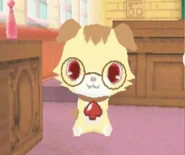 Alex/Image Gallery | Jewel Pet Wiki | Fandom