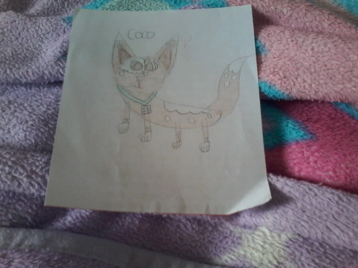 Coco | Jewelpet Fanon Wiki | Fandom