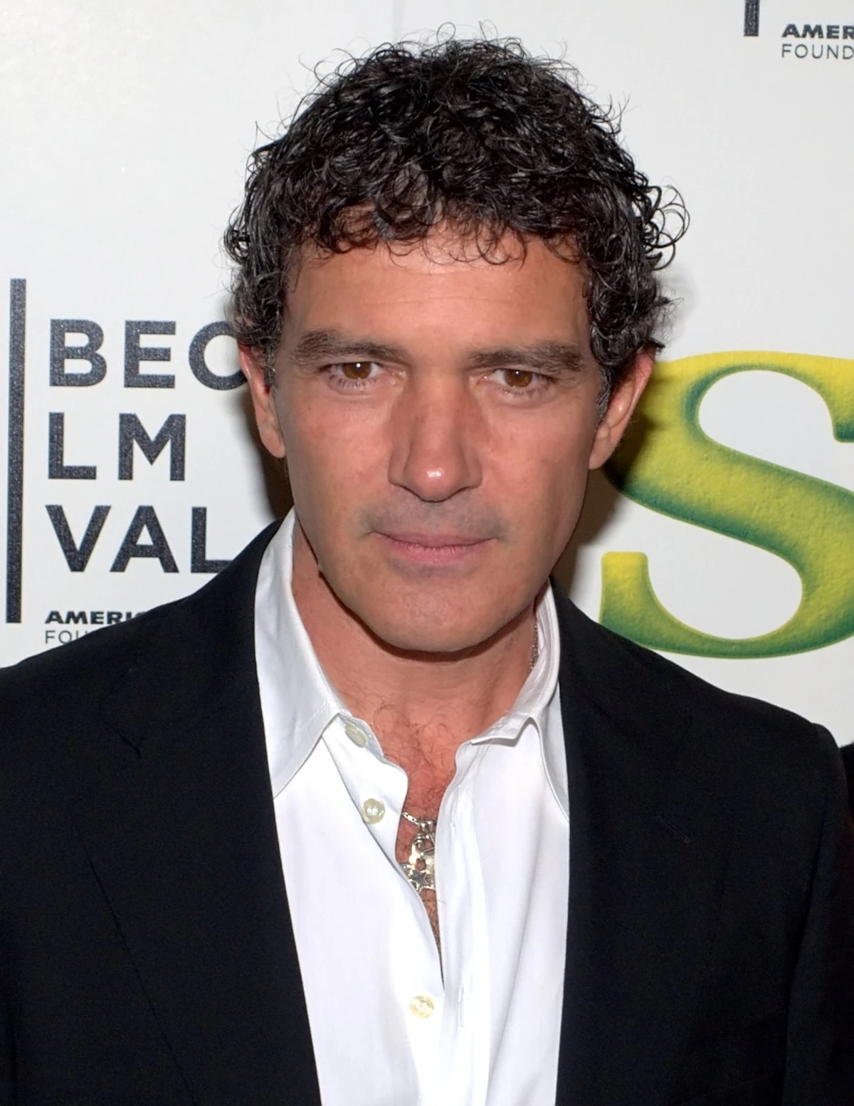 Antonio Banderas | JH Wiki Collection Wiki | Fandom