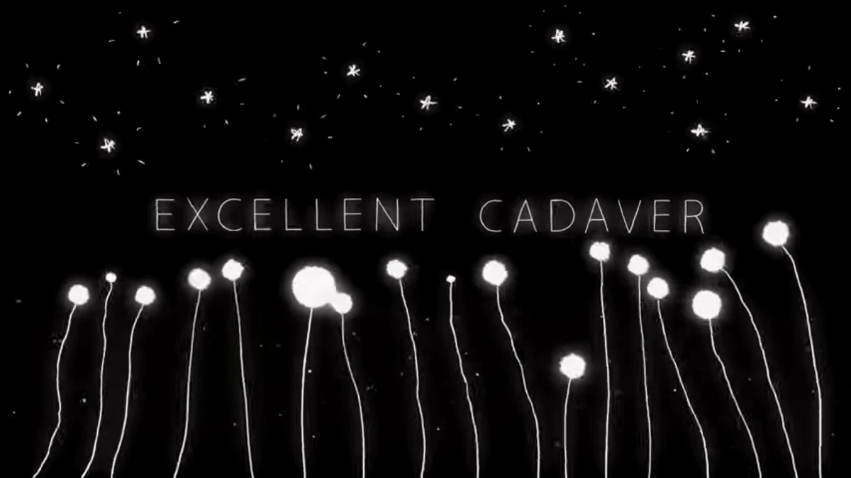 Excellent Cadaver | JH Wiki Collection Wiki | Fandom