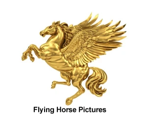 Kung Fu Wa! Awakening/Credits | JH Wiki Collection Wiki | Fandom