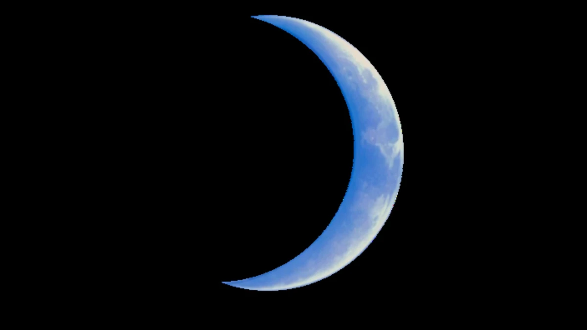 Male sssssssssssssssssssssss | JH Movie Collection Wiki | Fandom