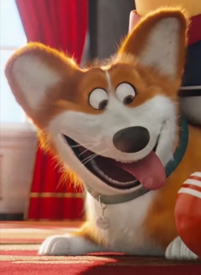 Corgis Minions Jh Movie Collection Wiki Fandom