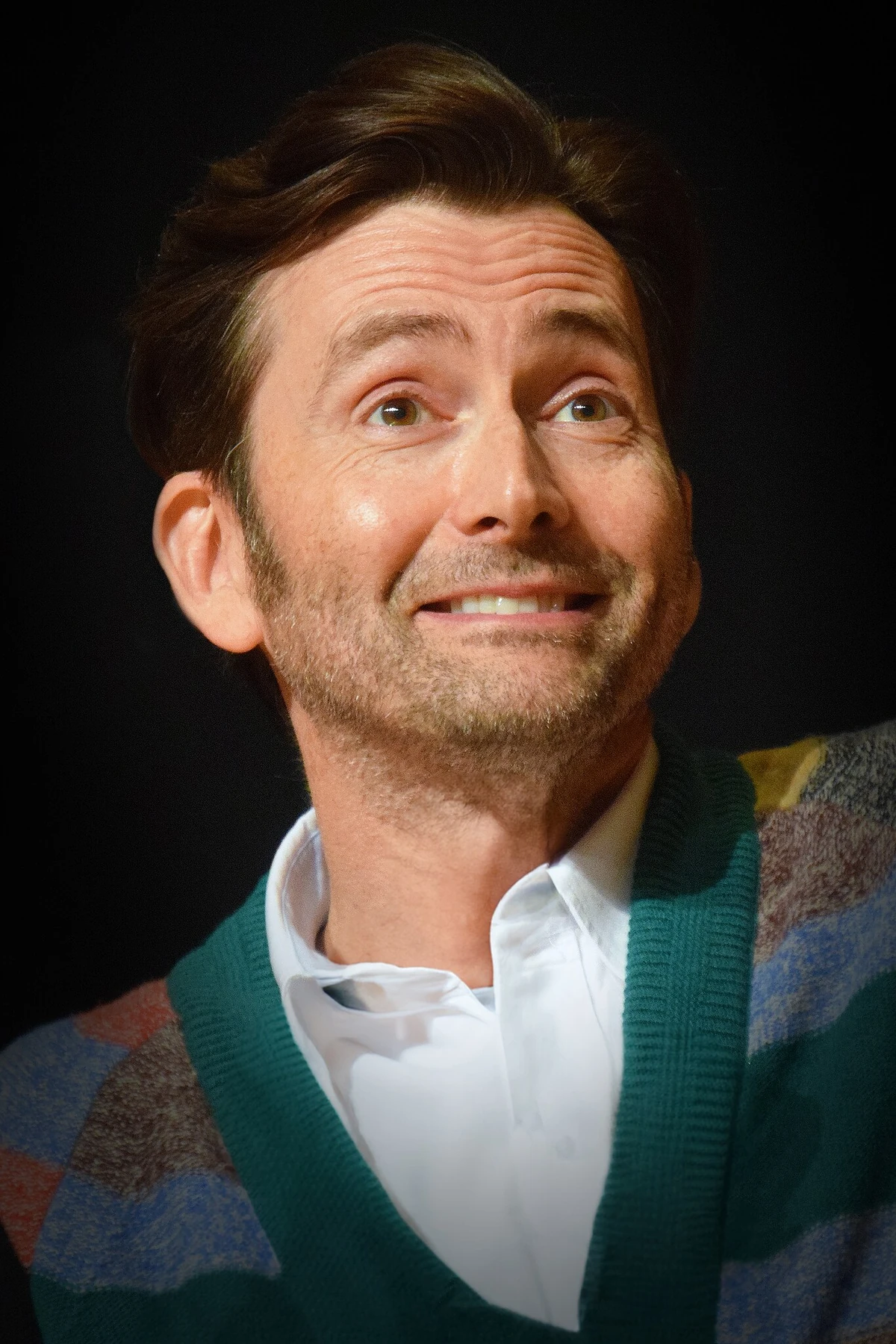 David Tennant | JH Wiki Collection 2.0 Wiki | Fandom