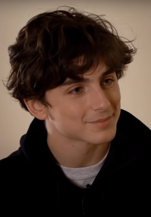Timothée Chalamet | JH Wiki Collection 2.0 Wiki | Fandom