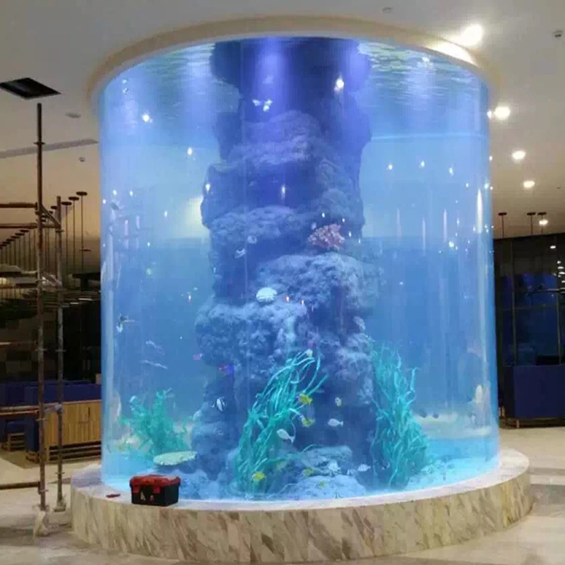 CupcakKe's Dealdoe Fish Tank | Jiafei Products Wiki | Fandom