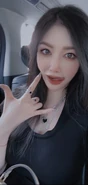 Jiafei | Jiafei Products Wiki | Fandom