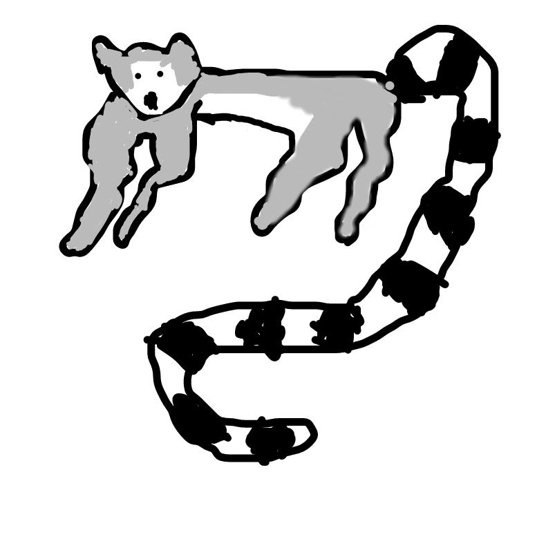 Ringstaart | Jiggmin Wiki | Fandom