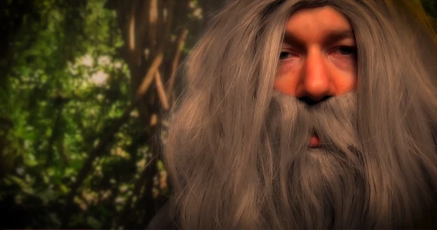 Wizard | Jimち's Wild Wiki | Fandom