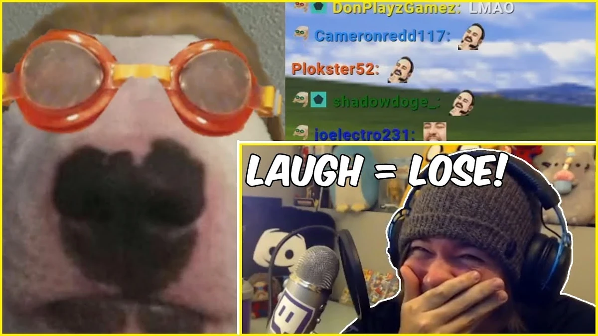 YLYL Episode 0 (Jimmy Here Live) | JimmyHere Wiki | Fandom