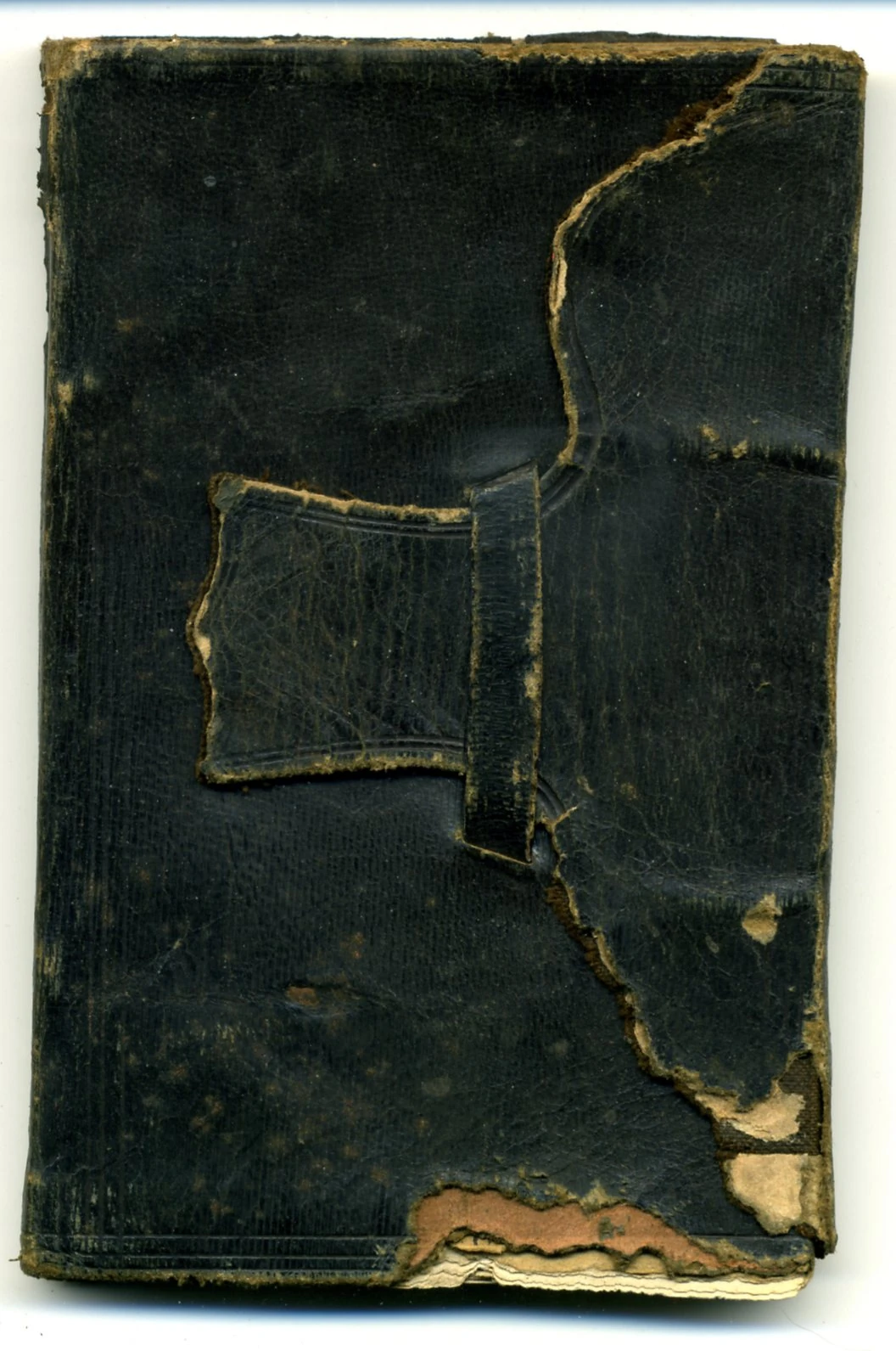 Diary of Belladonna's Assistant | Jirba Wikia | Fandom