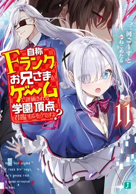 Light Novel Volume 11 | Jishou F-Rank no Oniisama Wiki | Fandom