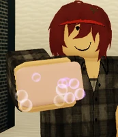 Items | JJBA: DIAMOND Wiki | Fandom