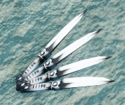 Items | JJBA: DIAMOND Wiki | Fandom