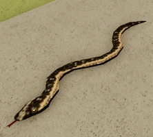 Items | JJBA: DIAMOND Wiki | Fandom