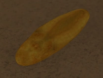 Items | JJBA: DIAMOND Wiki | Fandom