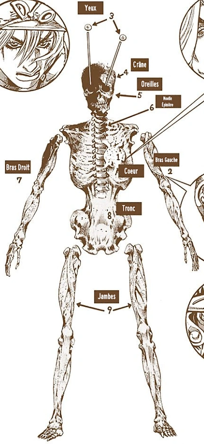 Corps Saint | Wiki Jojo's Bizarre Encyclopédie | Fandom