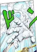 Death Thirteen | JoJo's Bizarre Wiki | Fandom