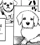 Bakin | JoJo's Bizarre Wiki | Fandom