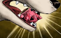 Rokakaka | Wiki Jojo's Bizarre Encyclopédie | Fandom