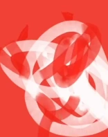 Snake | JJSPACER Wiki | Fandom