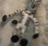 Foofie | JJSPACER Wiki | Fandom