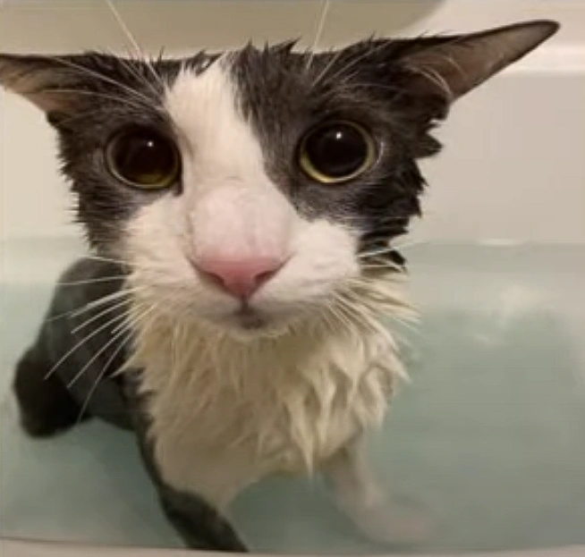 THE LIGMA DIFFICULTY | JJT But Better (Not Official) Wiki | Fandom