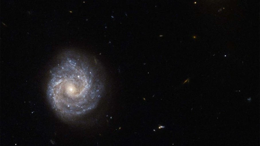 The first difficulty Beyond Rebirth Teardrop | Jjt wiki chain Wiki | Fandom