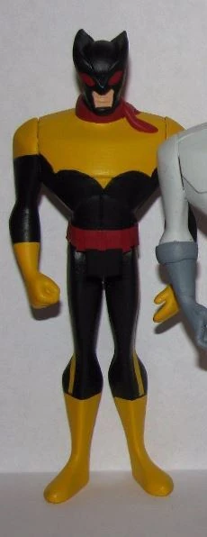 Mr Unknown | JLU Customs Wiki | Fandom