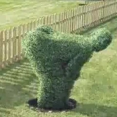 Bush Mooning | Jerry Mouse Island Wiki | Fandom