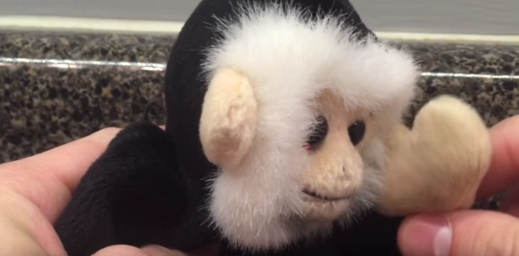 "Jasmine Vlog 1" | JMN Database | Fandom