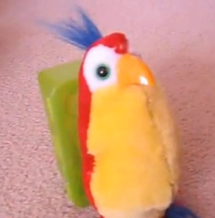 Perry | JMN Database | Fandom