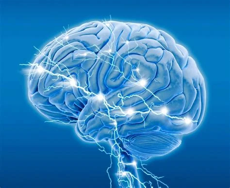 Brain | Jobsim Wiki | Fandom