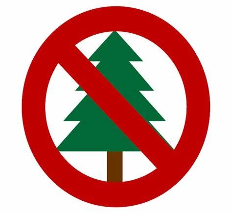 No trees cup | Jobsim Wiki | Fandom