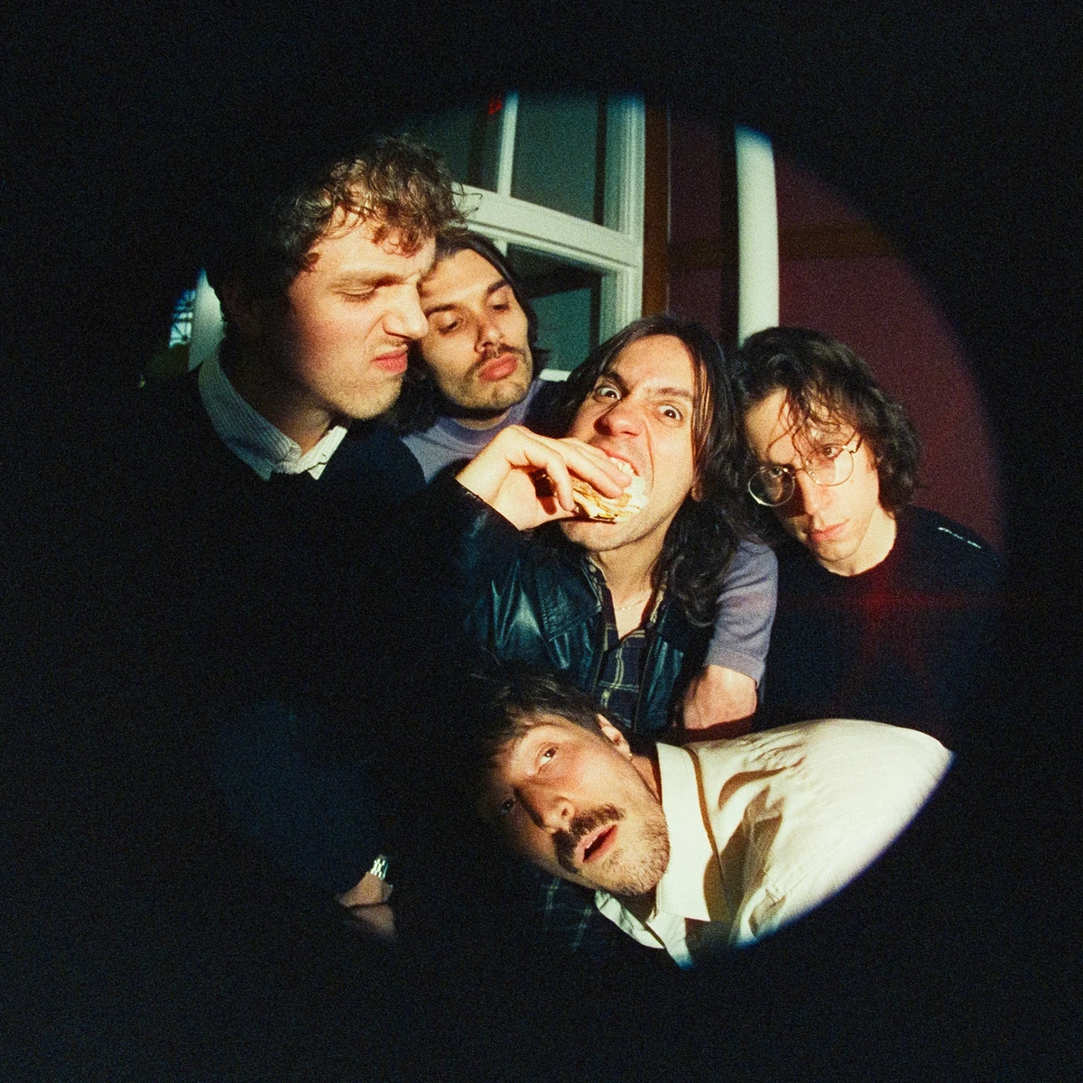 Post Animal | Joe Keery Wiki | Fandom