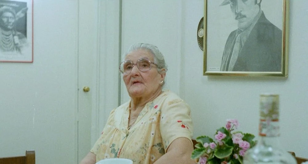 Filomena Spagnuolo | Joe Spinell Wiki | Fandom